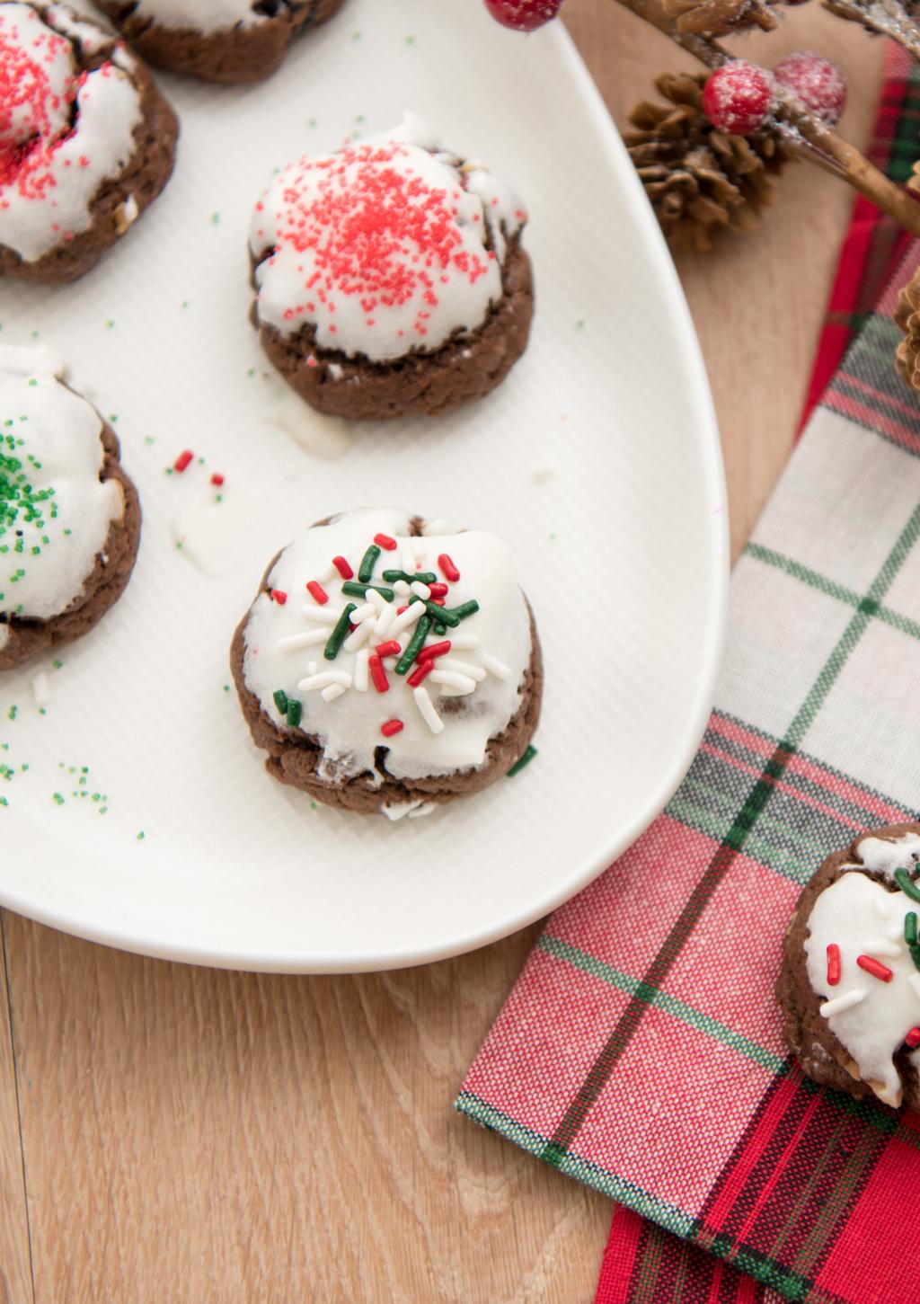 Saturdays With Barb: Italian Chocolate Spice Cookies